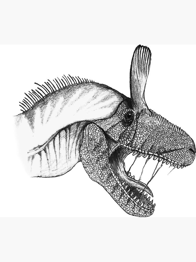 Cryolophosaurus Dinosaur Coloring Page