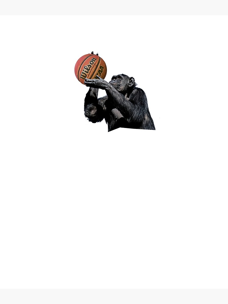 "monkey basketball" Poster for Sale by tomafibahouk | Redbubble