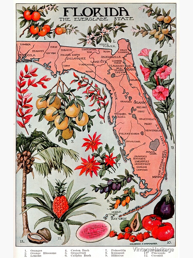"Vintage Map of Florida (circa 1917). Historical Map of Florida. HQ ...