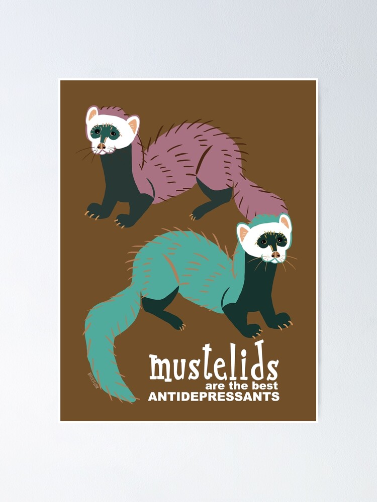 "Mustelids are the best antidepressants # 1" Poster for Sale by ...