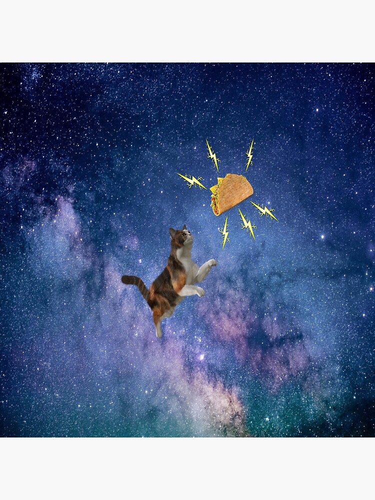 "cat and tacos space city" Sticker by cute-cats-world | Redbubble