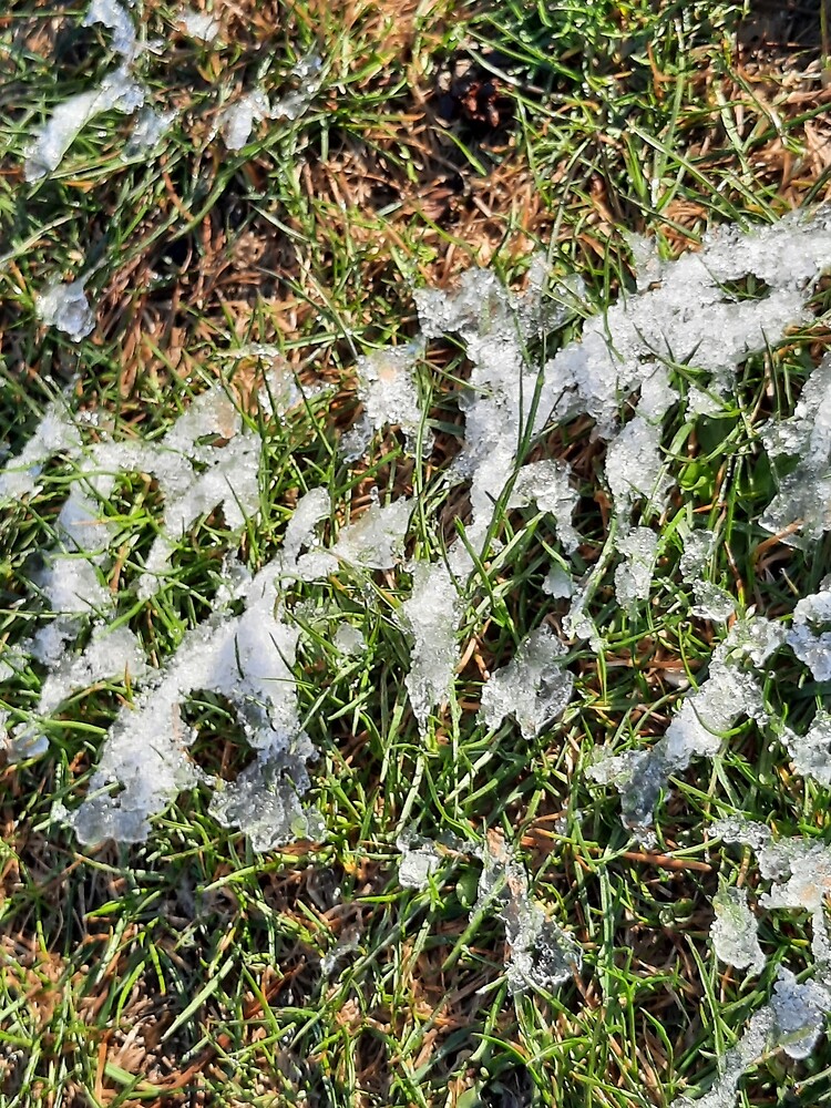 "snow in the spring" Poster for Sale by barbich | Redbubble