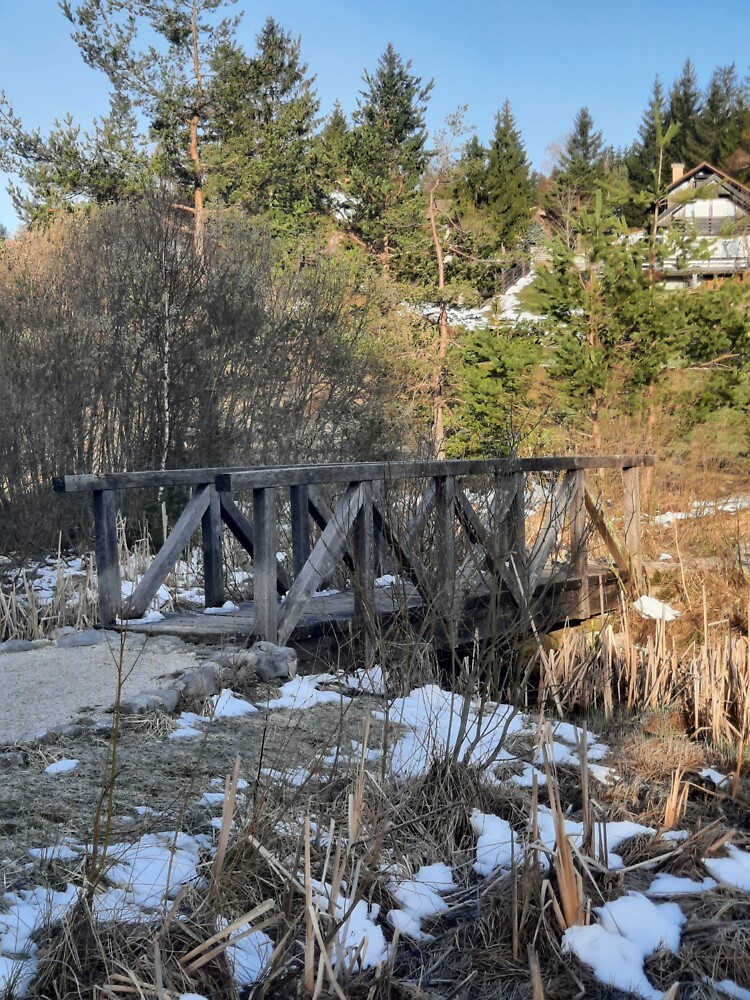 "wooden bridge...." Sticker by barbich | Redbubble