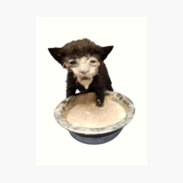 Lámina artística for Sale con la obra «Cat in Milk Meme (Gato de leche ...