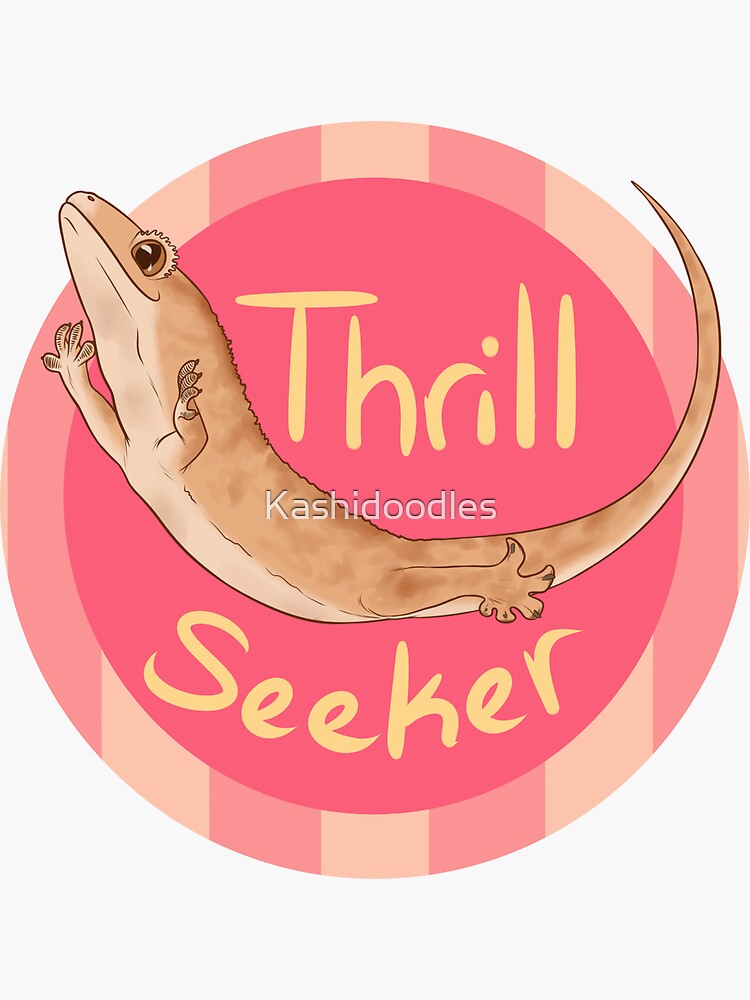 "Thrill Seeker!" Sticker for Sale by Kashidoodles | Redbubble