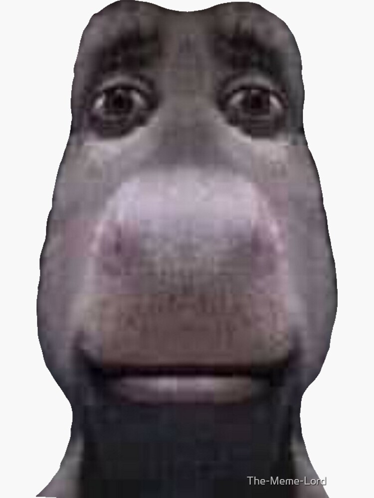 "Donkey stares into your soul" Sticker for Sale by The-Meme-Lord ...