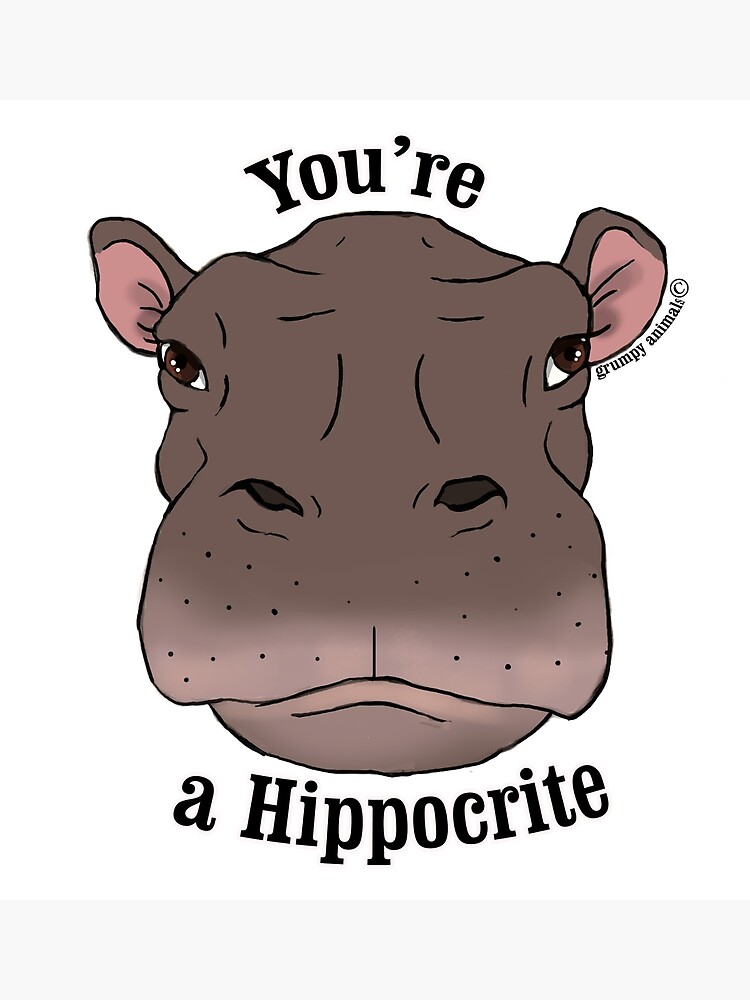 "Grumpy Animals "Hippo"" Poster for Sale by MadameDevious | Redbubble