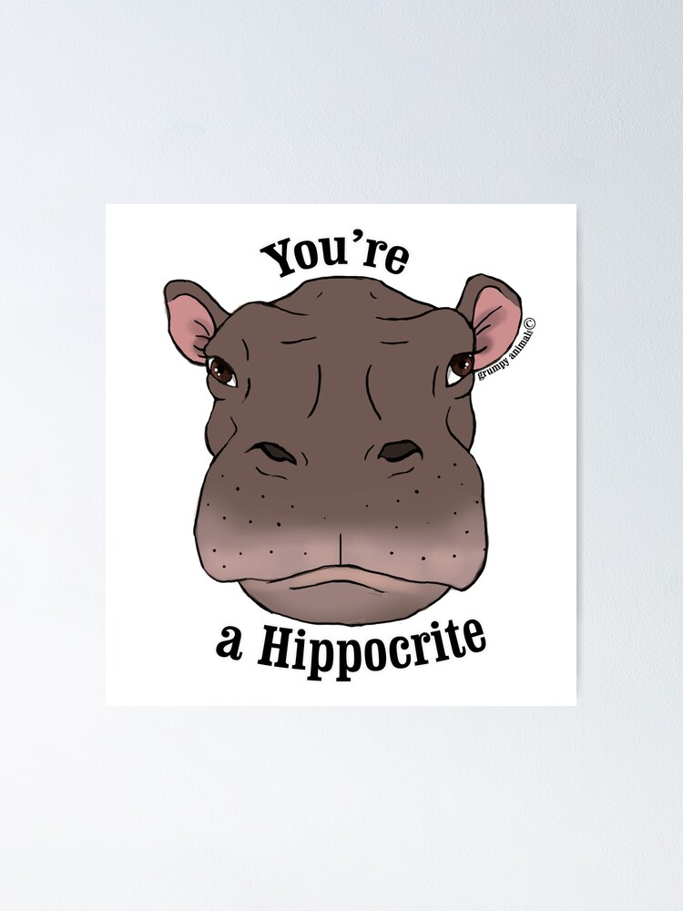 "Grumpy Animals "Hippo"" Poster for Sale by MadameDevious | Redbubble