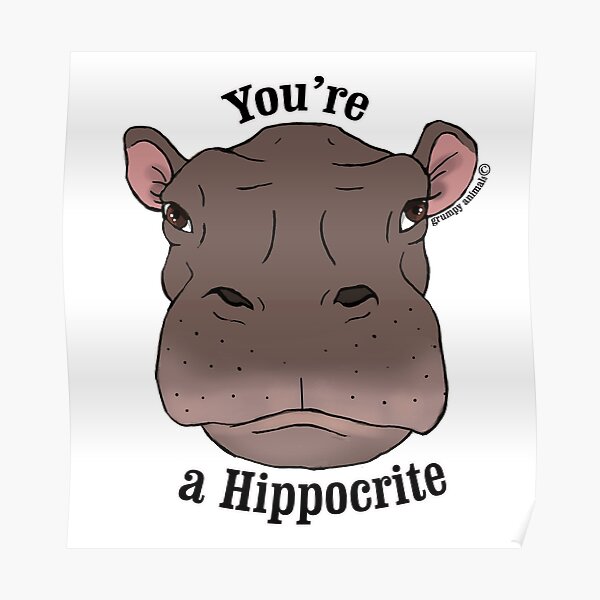 "Grumpy Animals "Hippo"" Poster for Sale by MadameDevious | Redbubble