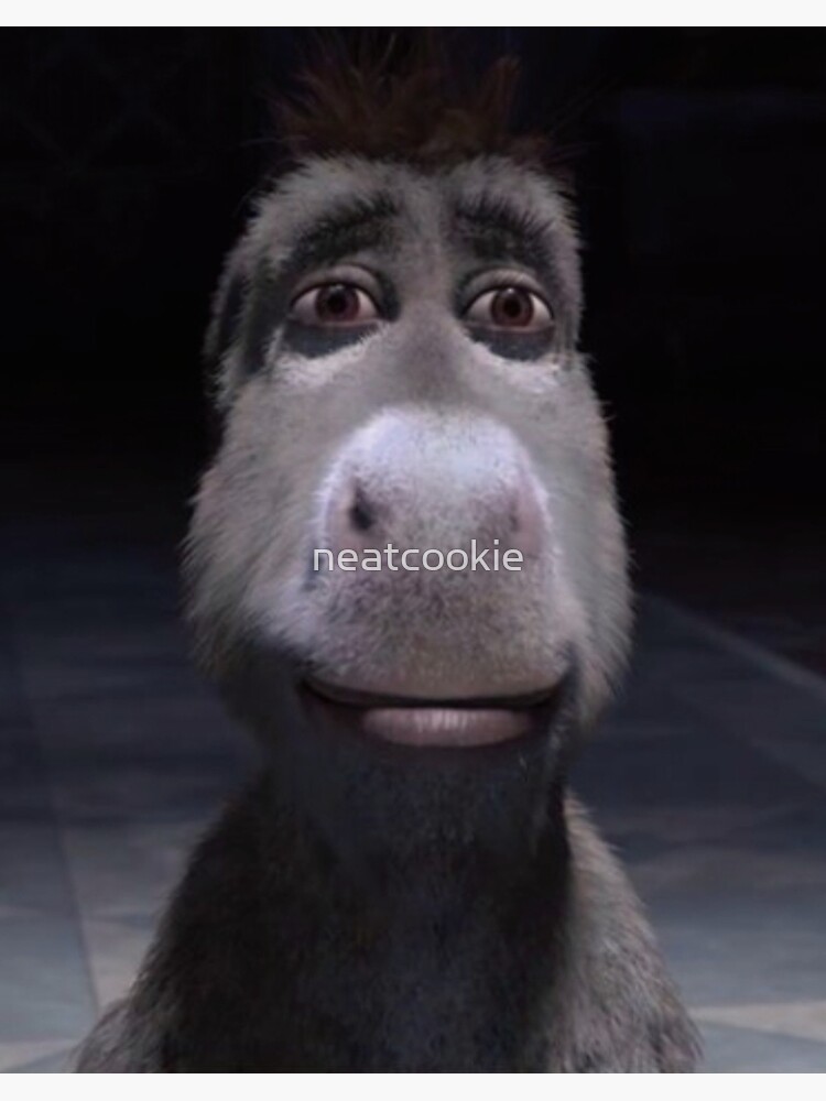 "Staring Donkey Meme" Art Board Print for Sale by neatcookie | Redbubble