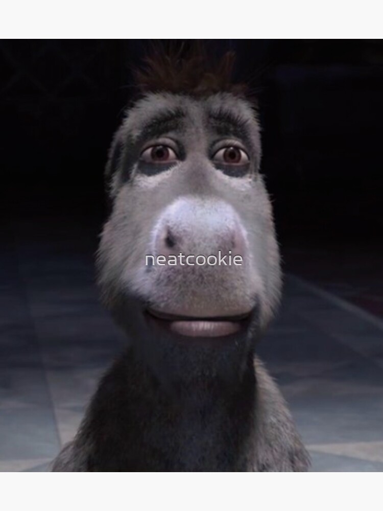 "Staring Donkey Meme" Sticker by neatcookie | Redbubble