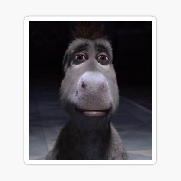 "Staring Donkey Meme" Sticker by neatcookie | Redbubble
