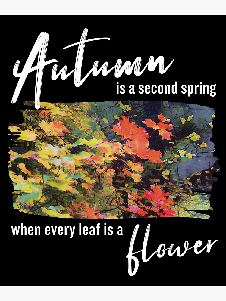 "Autumn is a Second Spring, When Every Leaf is a Flower | Inspirational ...