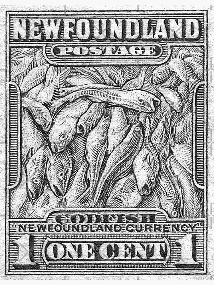 "Newfoundland Codfish One Cent Stamp vintage postage stamp with cod ...
