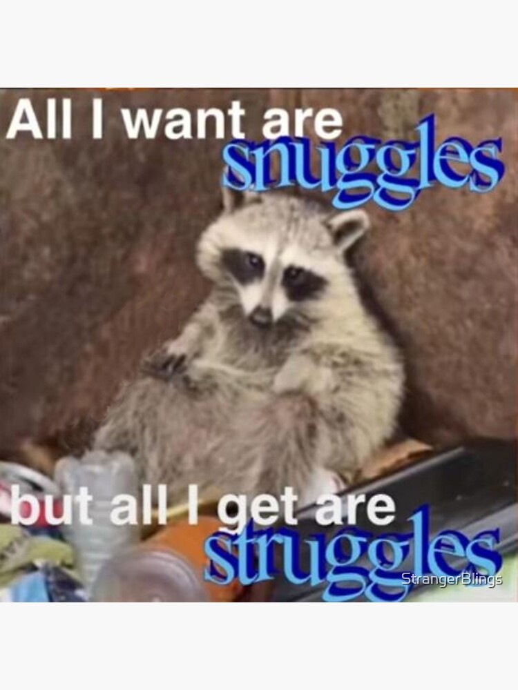 Memes Trash Panda Memebase Trash Panda All Your Memes In Our Base