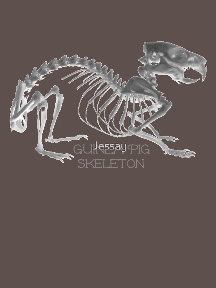 "Guinea Pig Skeleton " T-shirt for Sale by Jessay | Redbubble | guinea ...