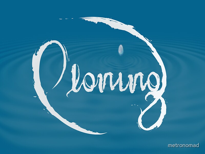 "Ploning - the movie" by metronomad | Redbubble