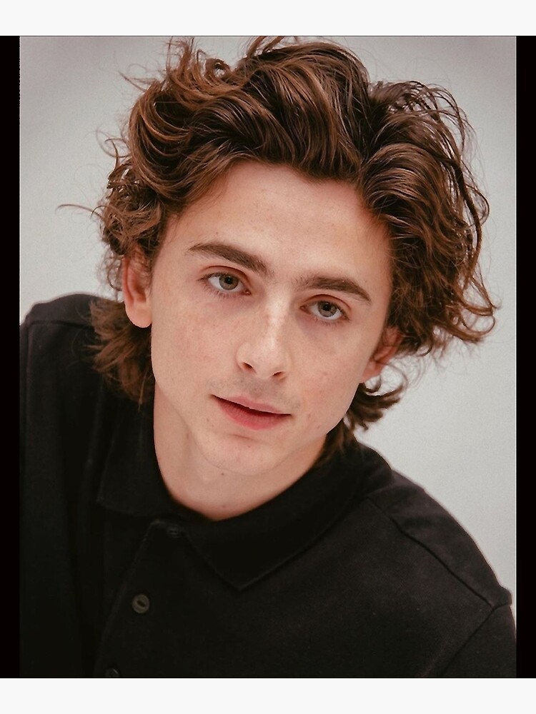 "Timothee Chalamet" Poster for Sale by PeggyHales3 | Redbubble