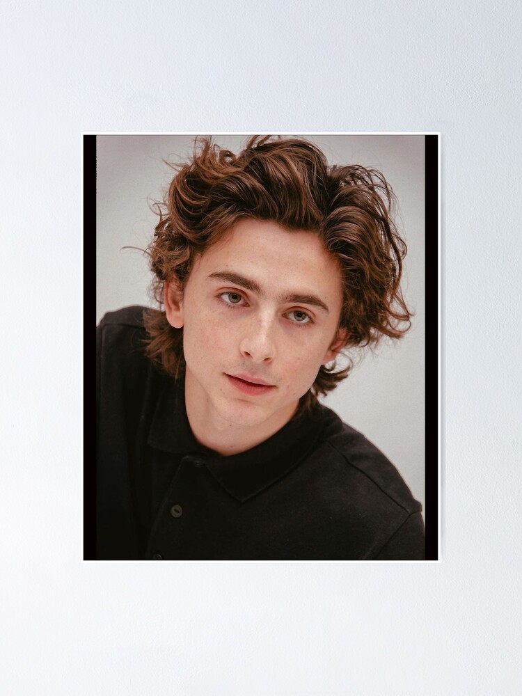 "Timothee Chalamet" Poster for Sale by PeggyHales3 | Redbubble
