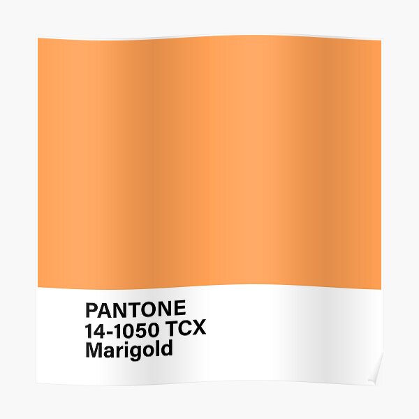 "pantone 14-1050 TCX Marigold" Poster for Sale by princessmi-com ...