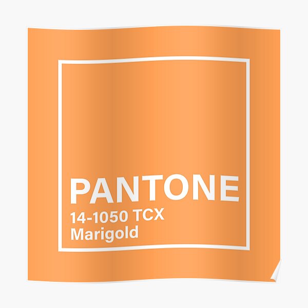 "pantone 14-1050 TCX Marigold" Poster for Sale by princessmi-com ...