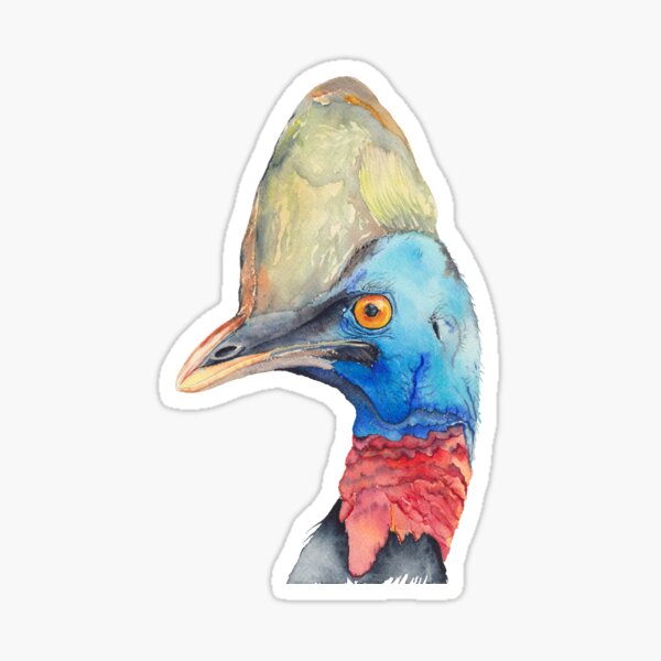 "Cassowary - Australian bird watercolour" Sticker by zoyamakarova ...