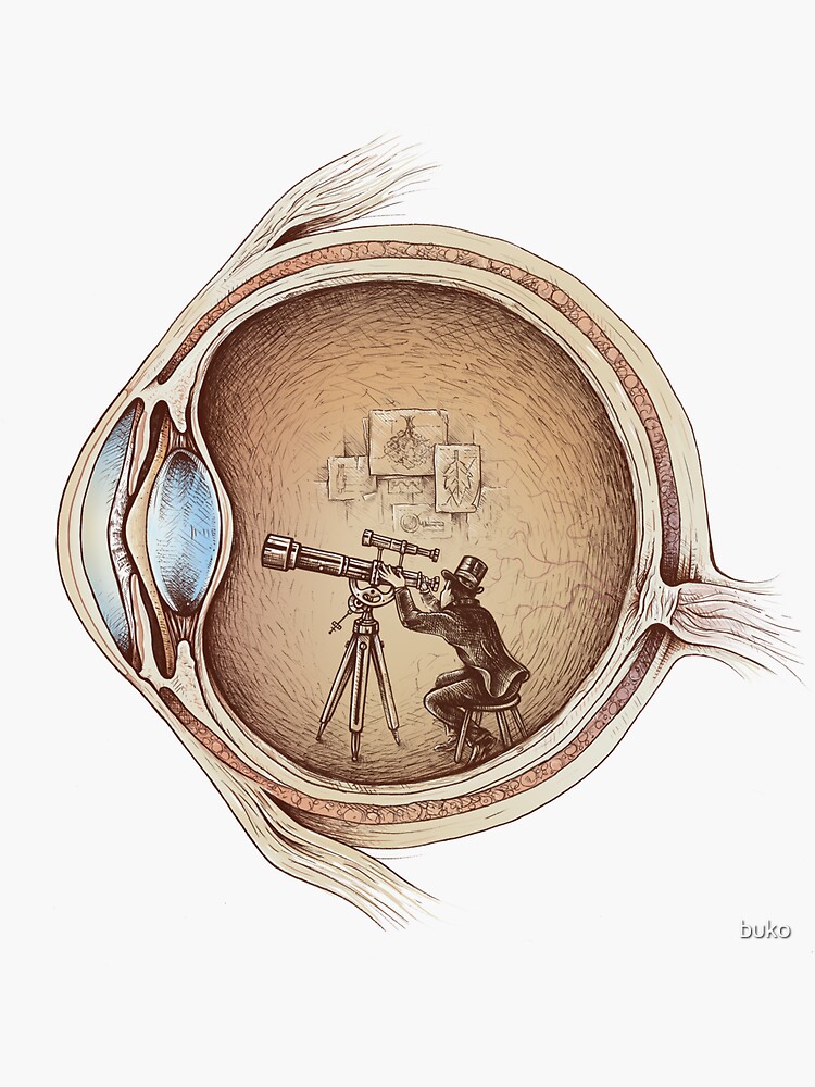 "Extraordinary Observer" Sticker for Sale by buko | Redbubble