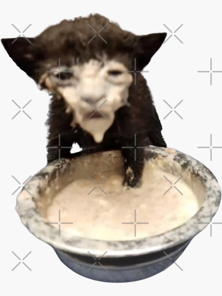 "Milk Face Cat Meme (Cursed Milk Cat)" Sticker for Sale by fomodesigns ...