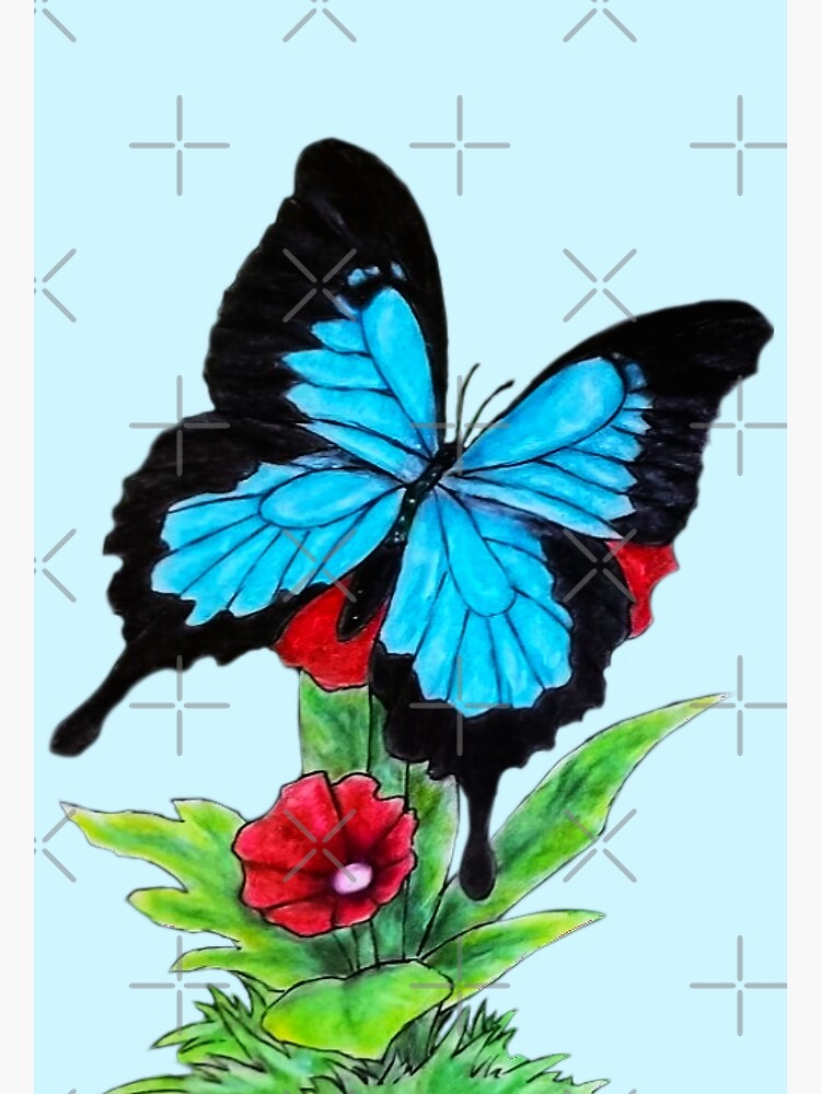 "Blue Monarch Butterfly" Poster for Sale by Lycoris-art | Redbubble