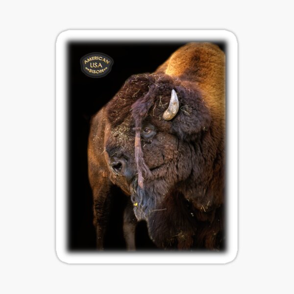 "American bison" Sticker for Sale by leobrix | Redbubble
