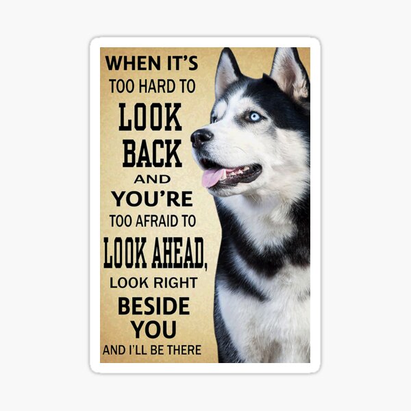 "meaning husky dog quotes beside you gift" Sticker for Sale by Douglafa ...