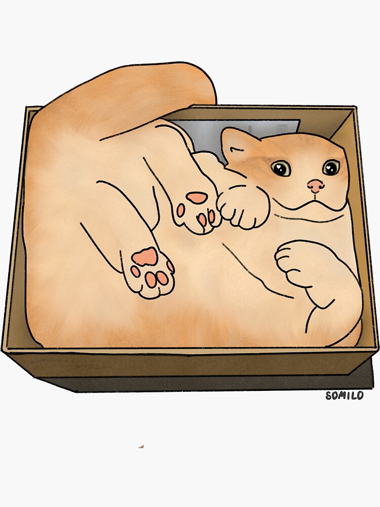 "Derp cat in box funny pictures lol lmao" Sticker by Somilo-Co | Redbubble