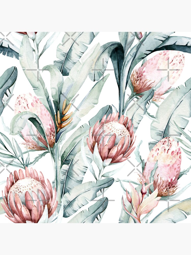 "Protea seamless pattern flower, hand painted illustration of exotic ...
