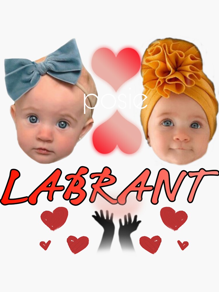 "posie labrant (2) " Sticker for Sale by ColeHauser8 | Redbubble