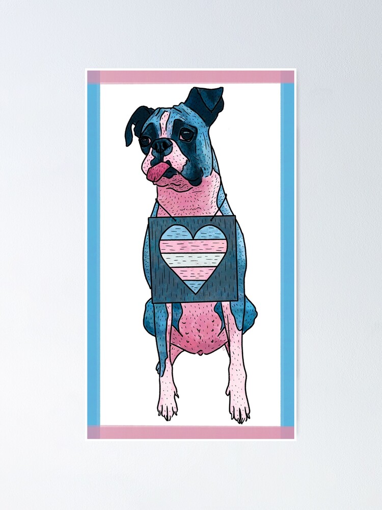 "Transgender Boxer Dog Trans Pride Flag" Poster for Sale by ...