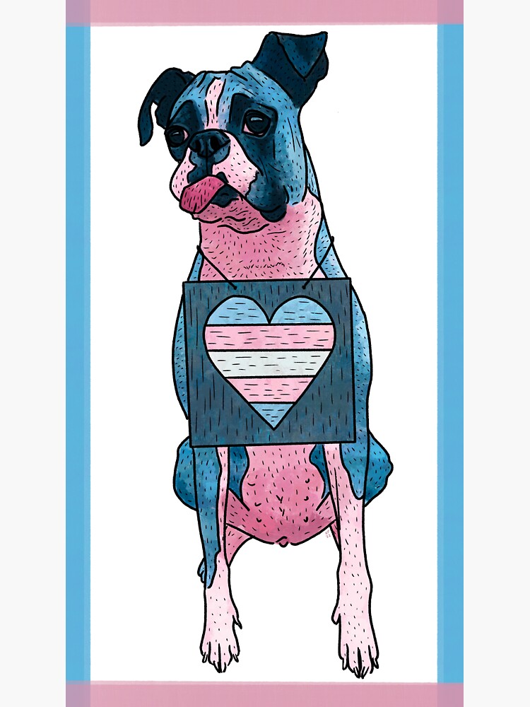 "Transgender Boxer Dog Trans Pride Flag" Sticker by kylepeterart ...