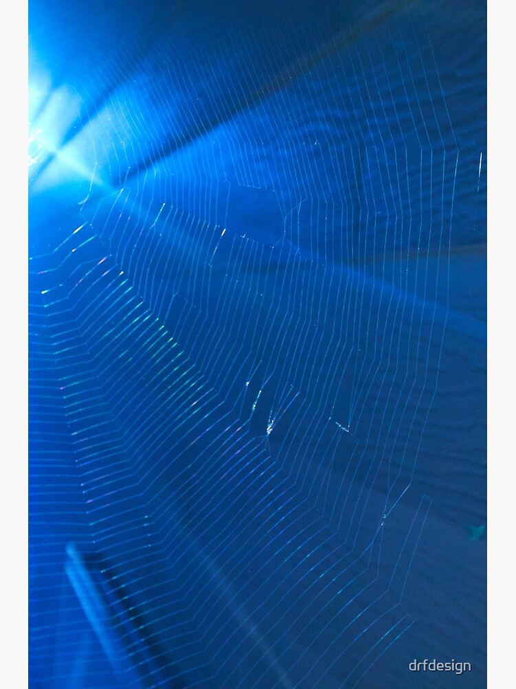 "Spider Web" Poster for Sale by drfdesign | Redbubble