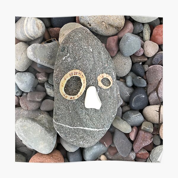 "Pebble Face" Poster for Sale by glenmc | Redbubble