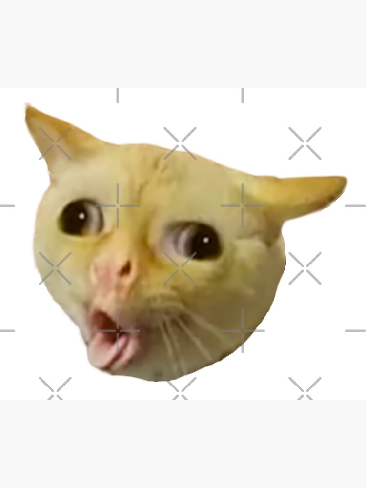 "Funny Cat Coughing Meme" Poster for Sale by fomodesigns | Redbubble