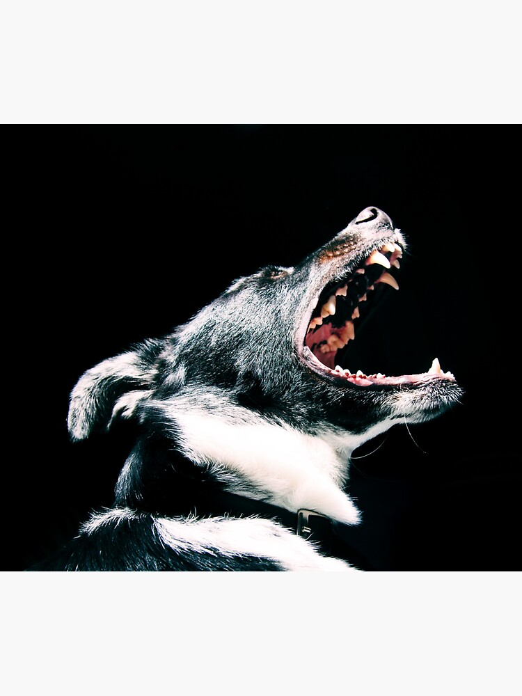 "Dog in Fire" Sticker by Kalaagallery | Redbubble