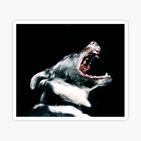 "Dog in Fire" Sticker by Kalaagallery | Redbubble