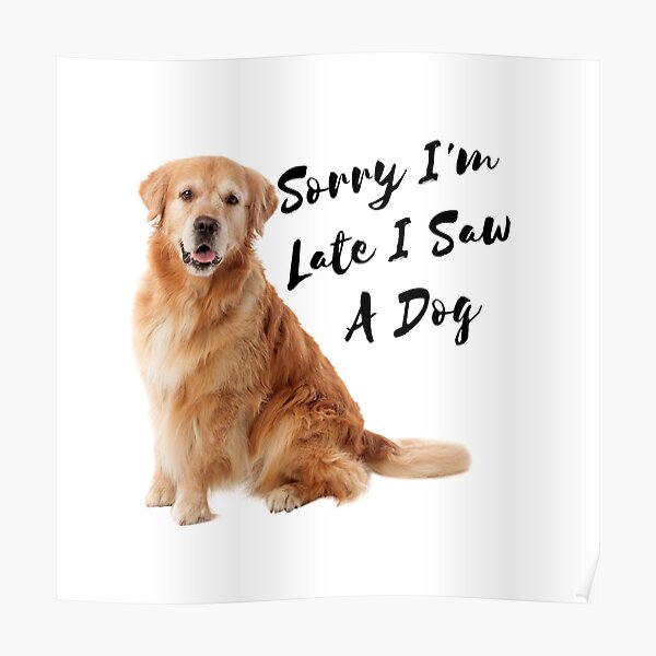 "sorry i am late i saw a dog, labrador, puppies, pug, pitbull ...