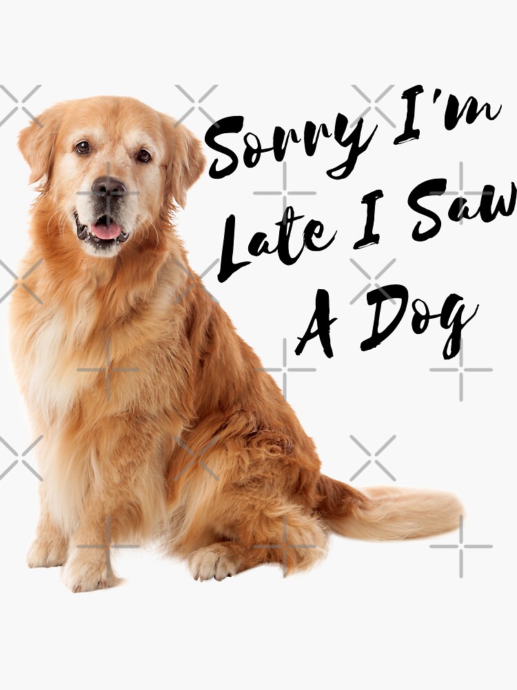 "sorry i am late i saw a dog, labrador, puppies, pug, pitbull ...