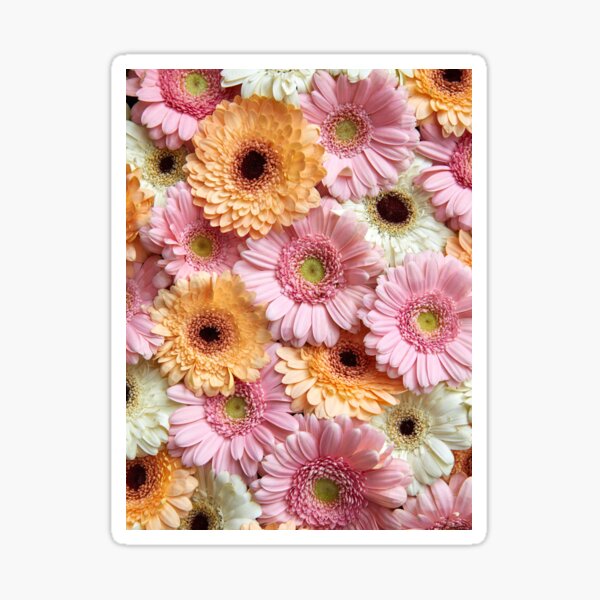 "Group_of_flowers_Daffodils" Sticker by mssashankca | Redbubble