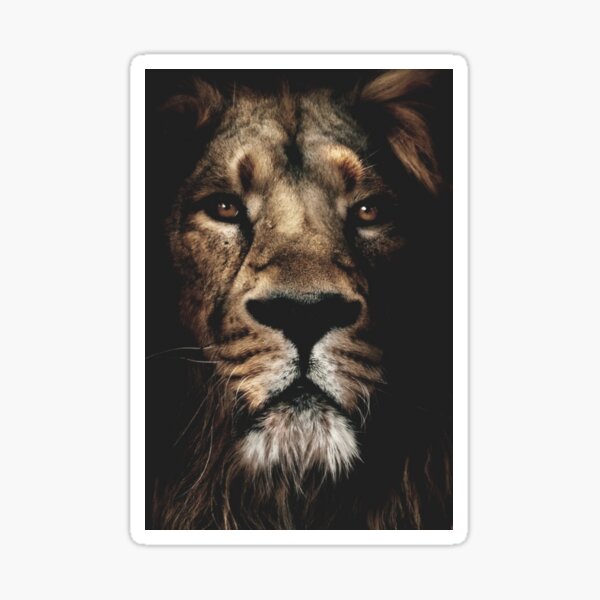 "lion" Sticker by Marijela1 | Redbubble