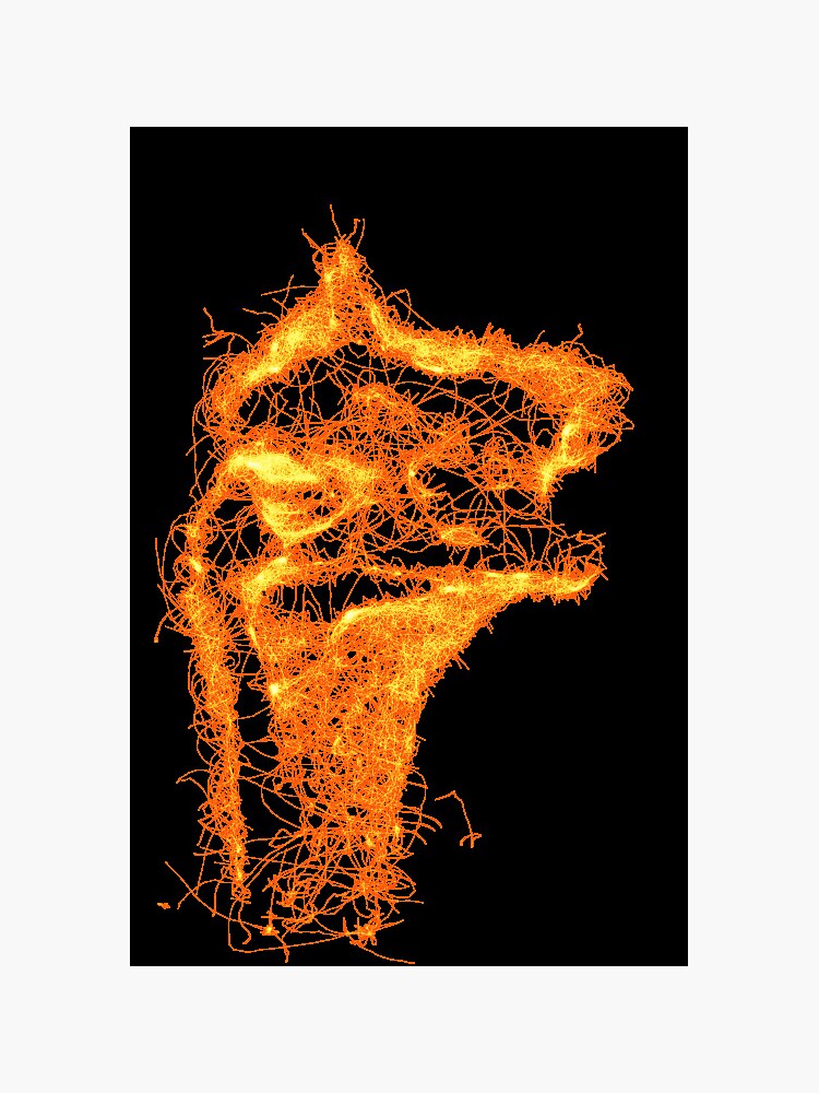 "Orange Neon Angry Ostrich" Sticker by Iansito33 | Redbubble