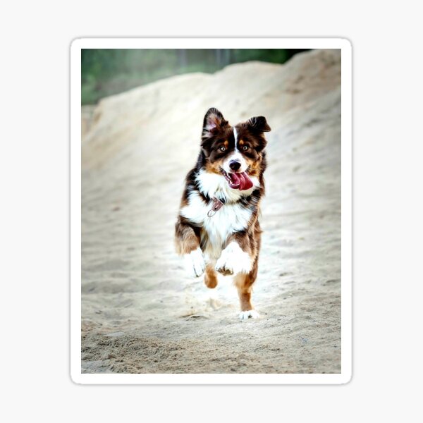 "happy dog" Sticker for Sale by Marijela1 | Redbubble