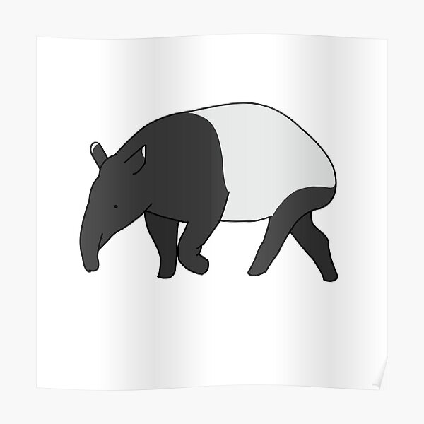 "Tapir Digital Vector" Poster for Sale by MismatchMedley | Redbubble