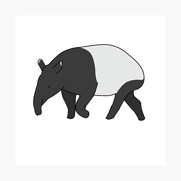 "Tapir Digital Vector" Photographic Print for Sale by MismatchMedley ...