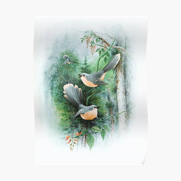 "Fantail Wrens" Poster for Sale by linggalibrary | Redbubble